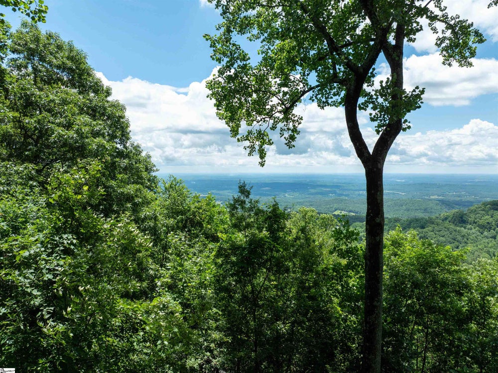 28 Raven Road, Landrum, SC 29356 - MLS# 1562389 - Coldwell Banker