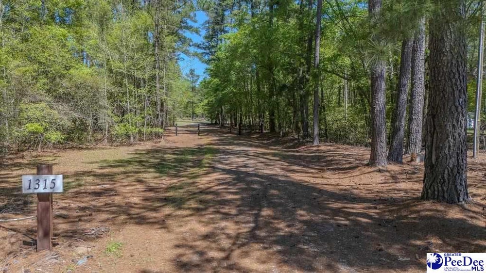 1315 Hill Harrell Road, Effingham, SC 29541-3179 - MLS# 20241317 ...