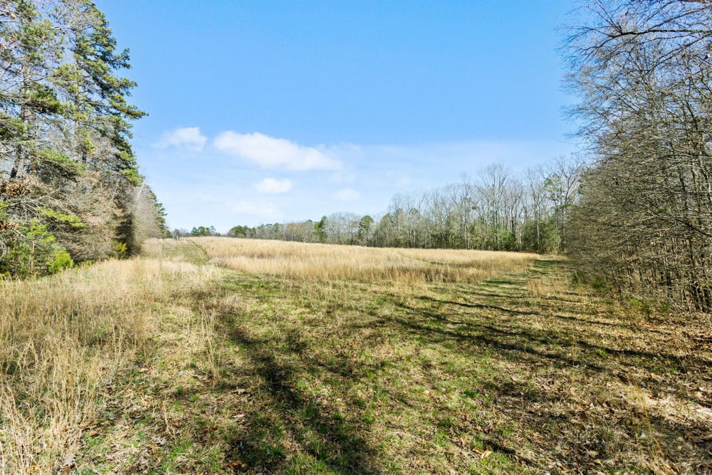 878 Kist Road, Greer, SC 29651 - MLS# 309499 - Coldwell Banker