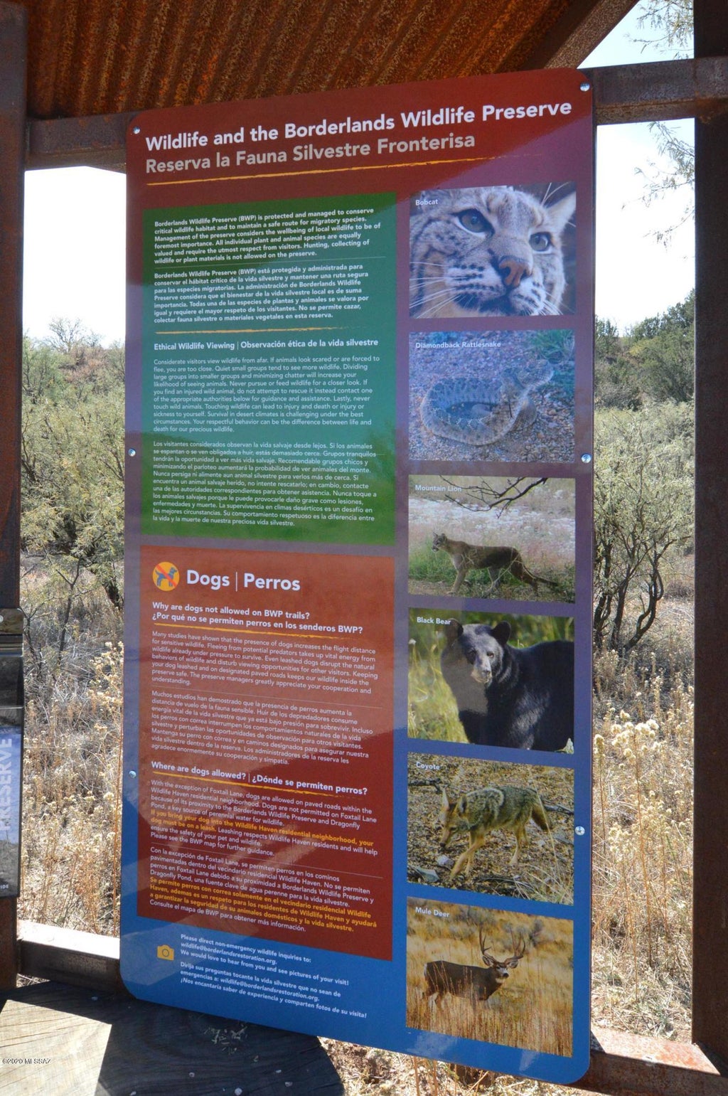 Se Permiten Perros En La Reserva De Blue Hills