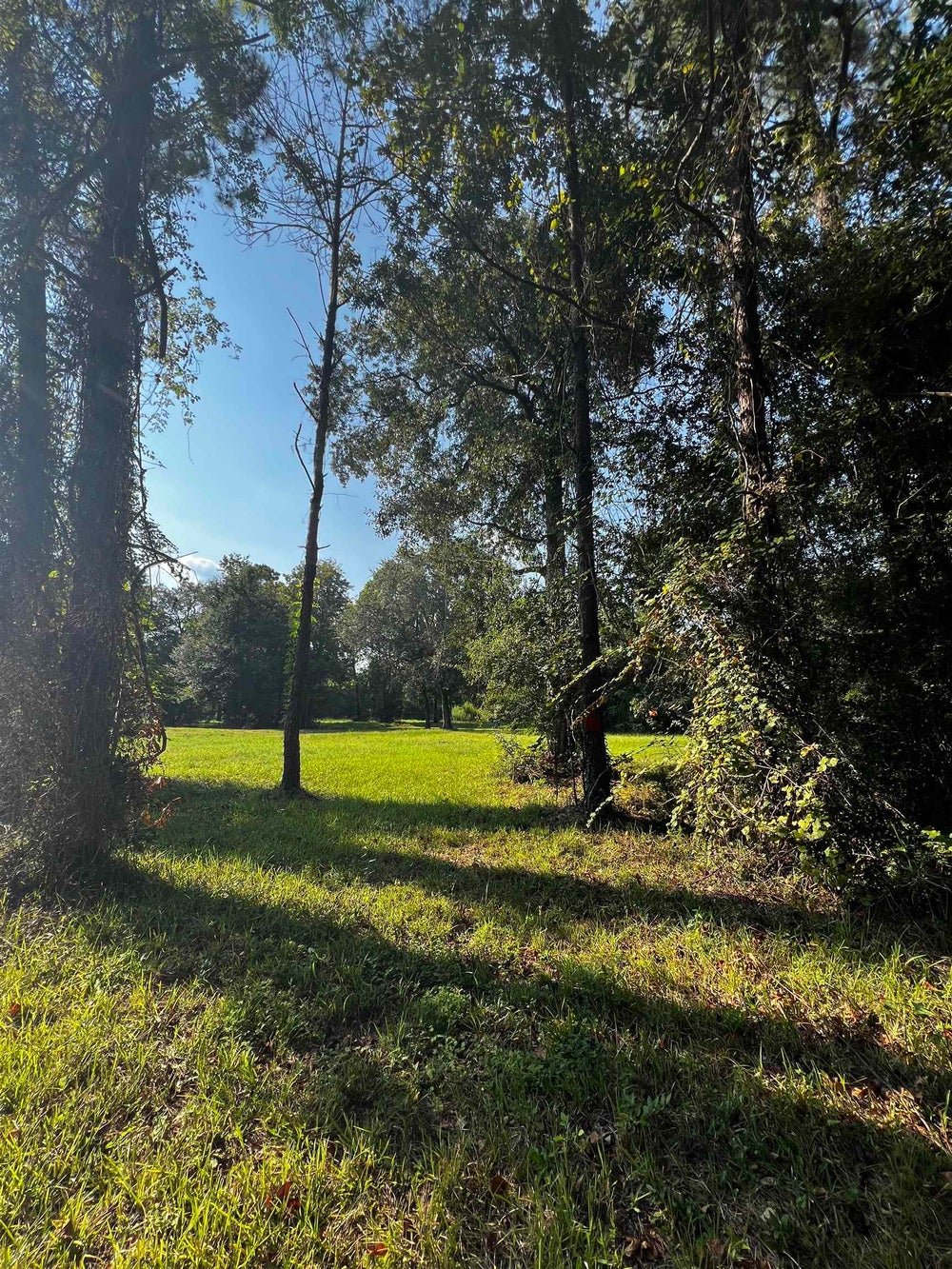 3518 Redbird St, Orange, TX 77630 - MLS# 261563 - Coldwell Banker