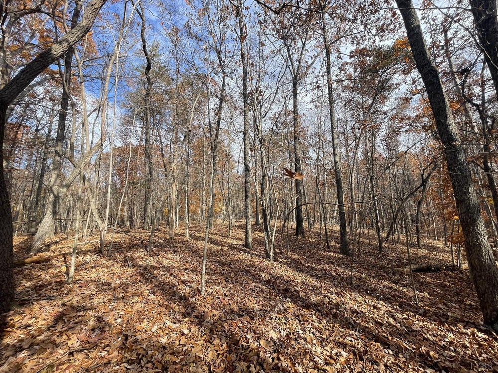 0 Victoria Drive, Amherst, VA 24521 - MLS# 349170 - Coldwell Banker