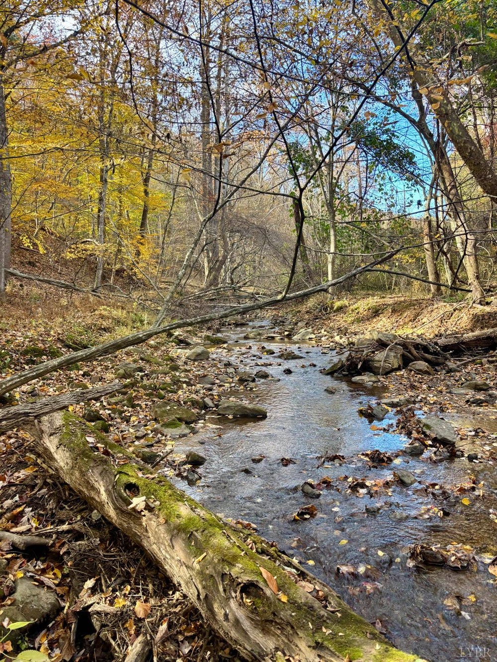 0 Buck Hollow Road, Amherst, VA 24521 - MLS# 362944 - Coldwell Banker