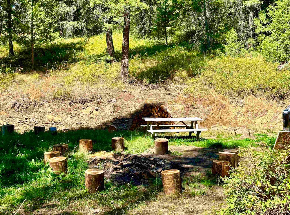 47XX Rosehill Rd, Springdale, WA 99173 - MLS# 202413409 - Coldwell Banker