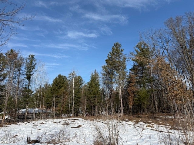 0 Bashaw Trail, Shell Lake, WI 54871 - MLS# 1598792 - Coldwell Banker